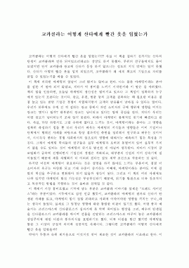 [독후감] 코카콜라는 어떻게 산타에게 빨간 옷을 입혔는가-1페이지