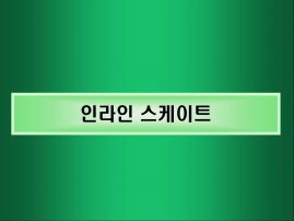 인라인스케인트 광고 전략-1페이지