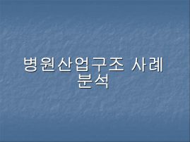 병원산업구조 사례 분석-1페이지