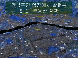 (831 부동산 대책) 강남주민 입장에서 살펴본8. 31 부동산 정책의 실태와 해결방안-1페이지