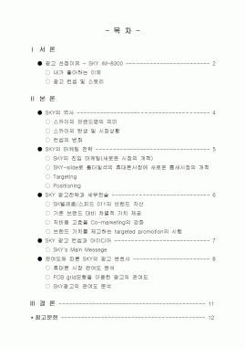 SKY광고를 좋아하는 이유 및 마케팅 전략, 컨셉 및 아이디어, 광고전략 및 세부전술-1페이지