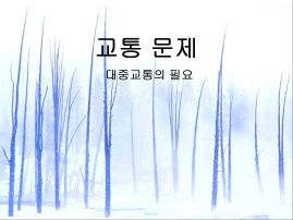 [사회과학] 교통문제-1페이지