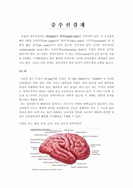 충추신경계-1페이지