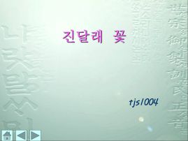 국어 발표 파워포인트 (진달래꽃 수업 진행 PPT)-1페이지