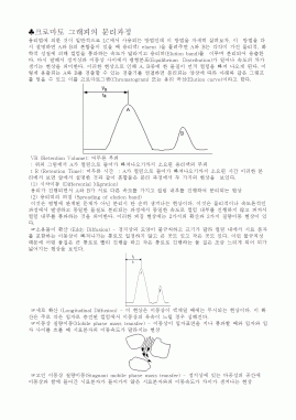 크로마토 그래피의 분리과정-1페이지