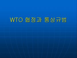 WTO 협정과 통상규범-1페이지