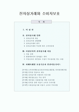 전자상거래와 소비자보호-1페이지