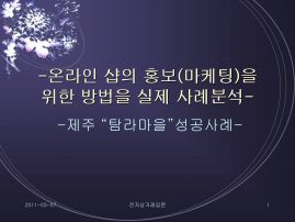 제주 탐라마을 마케팅 성공사례-1페이지