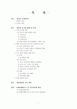 중국의 한류열풍-1페이지