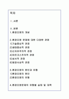 환경오염문제의 현황과 실태 및 대안과 정책 분석-1페이지