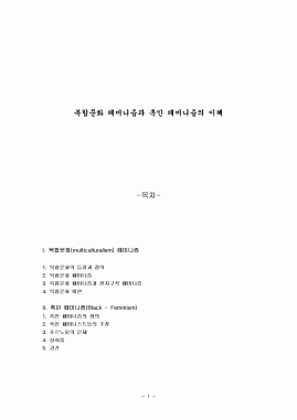 [사회과학] 복합문화페미니즘과 흑인페미니즘의 이해-1페이지