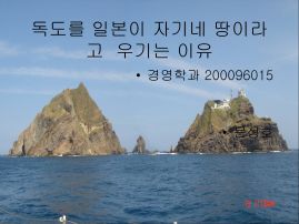 독도에 대한 가치와 일본의 의도-1페이지