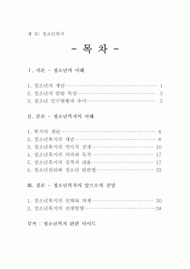 [사회복지]청소년복지 [분석/조사] -1페이지