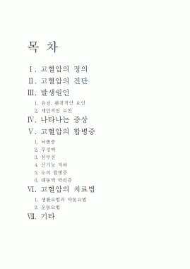 현대인의 질병-고혈압-1페이지