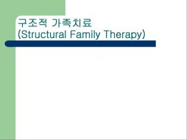 [가족과상담]구조적가족치료의 이해-1페이지