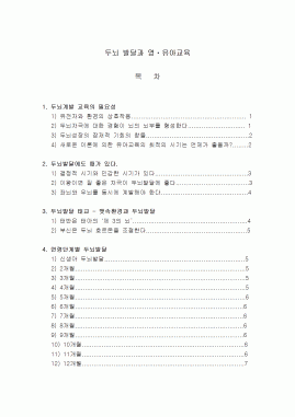 두뇌발달과 영유아교육-1페이지