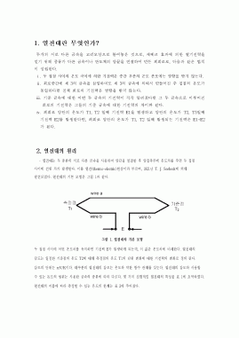 열전대의 정의-1페이지