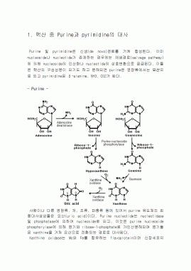 핵산의 대사과 미생물의 혐기성 호흡-1페이지