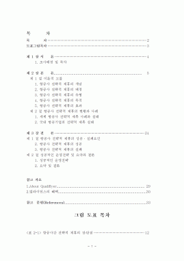 항공사의 전략적 마케팅 전략 분석-1페이지