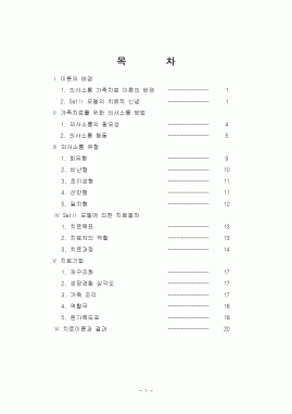 Satir의사소통가족치료-1페이지