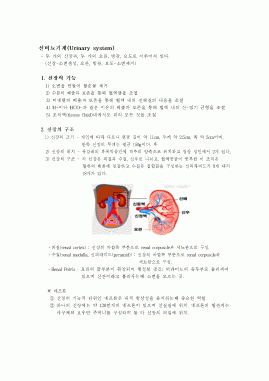 아동신비뇨기계구조와 장애-1페이지