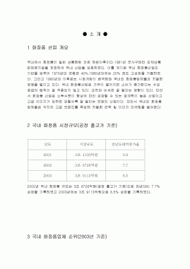 더 페이스 샵의 마케팅 전략-1페이지