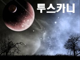 투스카니의 성공 사례-1페이지