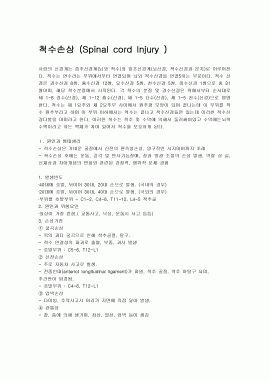 척수손상 (Spinal cord Injury )-1페이지