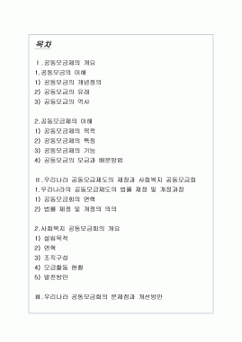 국내 공동모금제도의 기능과 문제점 분석 및 사회복지 공동모금회에 대해-1페이지