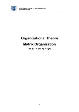 매트릭스 조직의 이론과 실제 - Matrix Organization-1페이지