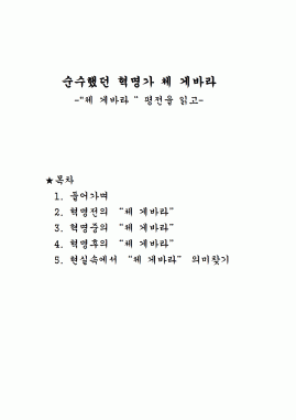 체 게바라 평전을 읽고-1페이지