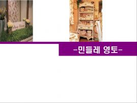 민들레영토 마케팅분석-1페이지