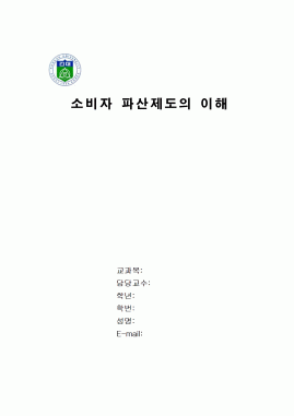 소비자파산 제도에 대한 완벽 분석-1페이지