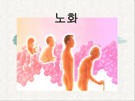 노화이론 면역학 노화현상-1페이지