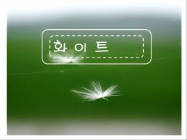 [광고기획]화이트 광고기획서(설문조사포함)-1페이지