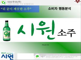 [제품 분석] 시원소주의 마케팅 전략과 발전 방향 프레젠테이션 자료 (고급 PPT자료)-1페이지