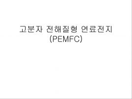 [공학/컴퓨터/통신] 고분자 전해질형 연료전지(PEMFC)-1페이지