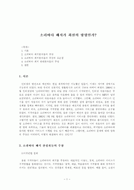 소리바다 폐지가 최선의 방법인가?-1페이지