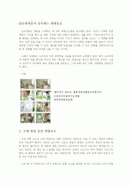 [소비자 분석 레포트] 제품 구매 결정 과정과 소비자들이 감수하는 위험요소 분석-1페이지