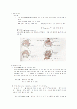 호흡에 관한 정리-1페이지