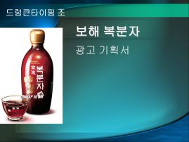 보해복분자 광고기획서-1페이지