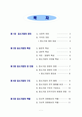 [중소기업론]중소기업의 개념-1페이지