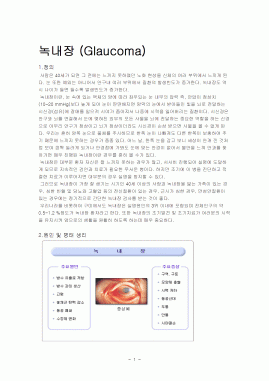 녹내장(케이스)-1페이지