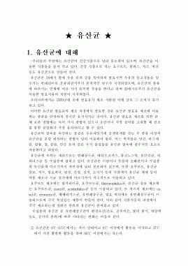 유산균 식품의 비교 분석-1페이지