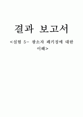 결과-광소자 패키징에 대한 이해-1페이지