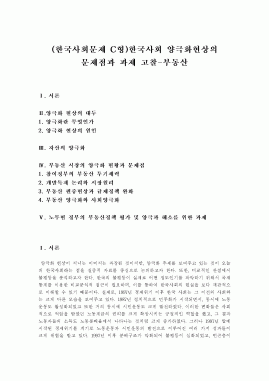 (한국사회문제 C형)한국사회 양극화현상의 문제점과 과제 고찰-부동산-1페이지