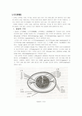 난류(卵類)-1페이지