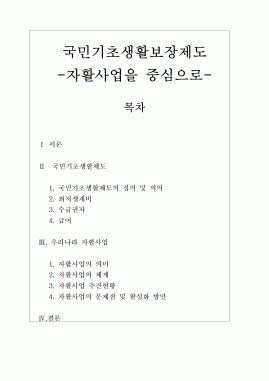 국민기초생활보장제도 (자활사업을 중심으로)-정의,의의,체계,현황,발전방안,자활사업정리-1페이지