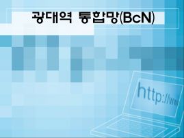 [IT]광대역 통합망(BcN)-1페이지