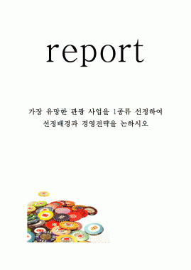 가장 유망한 관광 사업을 1종류 선정하여 선정배경과 경영전략을 노하시오-1페이지